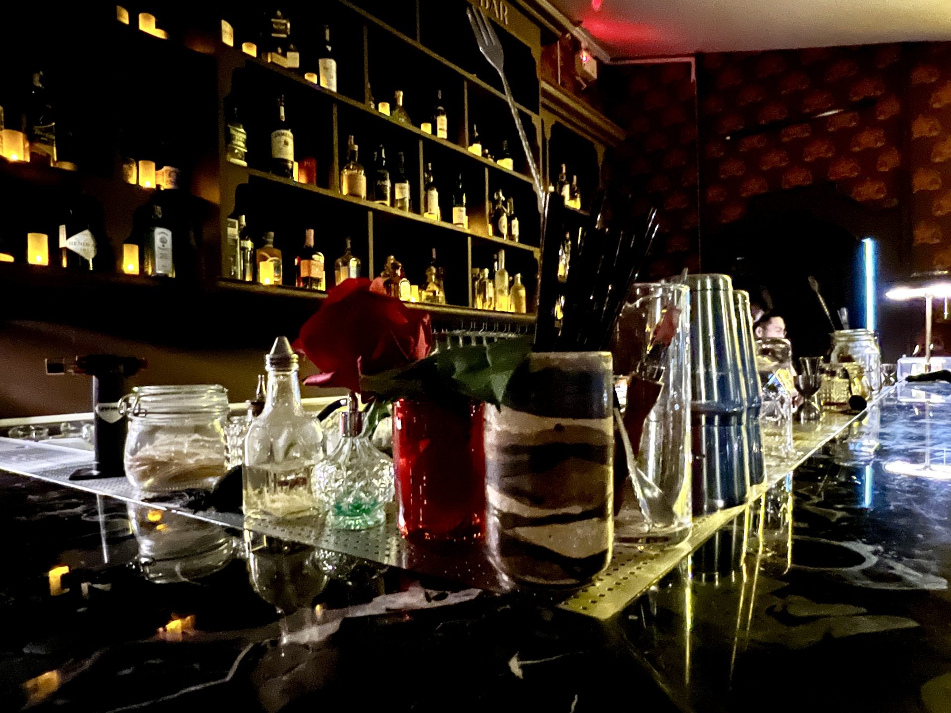 Falcon Secret Bar - LittleWanderingWren