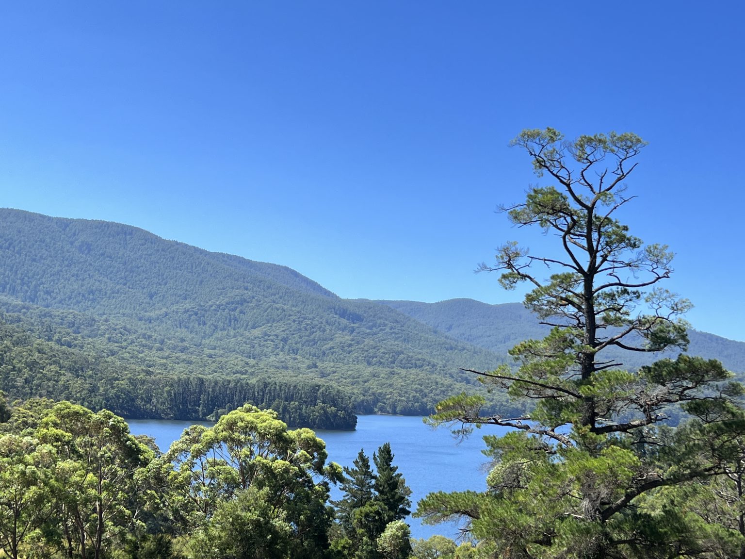 Weekend Wanders: A Guide to the Yarra Valley - LittleWanderingWren